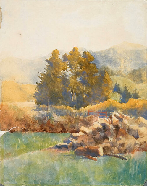 Nelson Landscape | Christchurch Art Gallery Te Puna o Waiwhetū