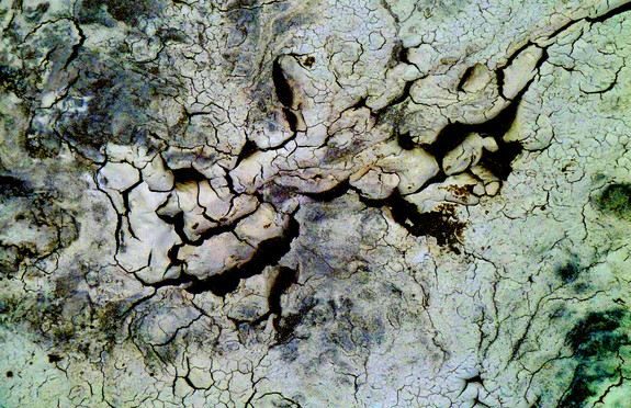 The Art of Liquefaction | Christchurch Art Gallery Te Puna o Waiwhetū