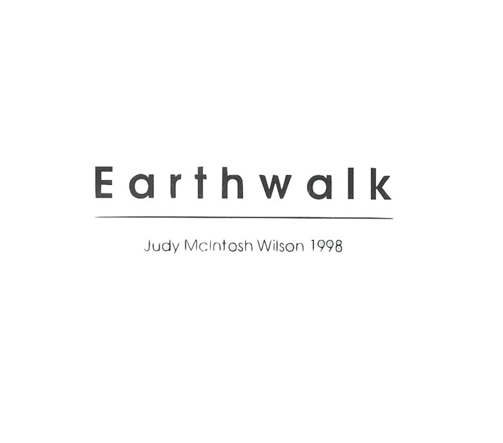 Earthwalk: Judy McIntosh Wilson | Christchurch Art Gallery Te Puna o ...