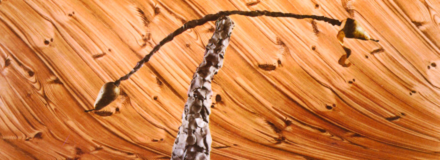 Boyd Webb | Christchurch Art Gallery Te Puna o Waiwhetū