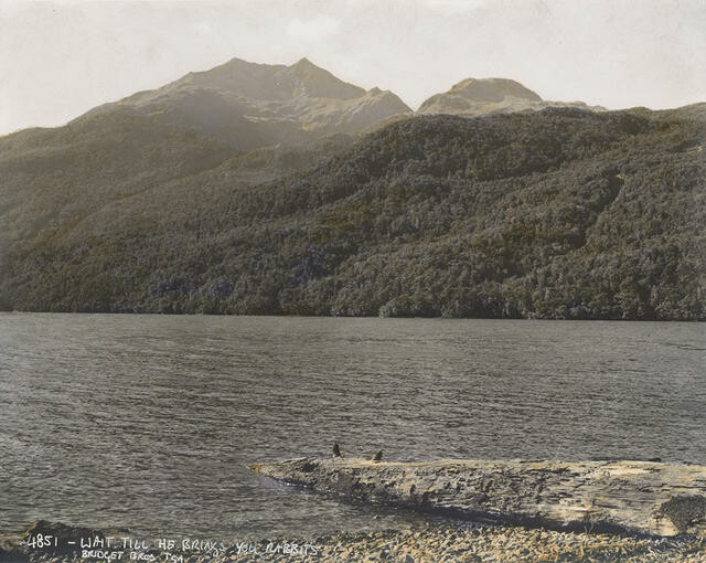 4851 WAIT TILL HE BRINGS YOU RABBITS | Christchurch Art Gallery Te Puna ...