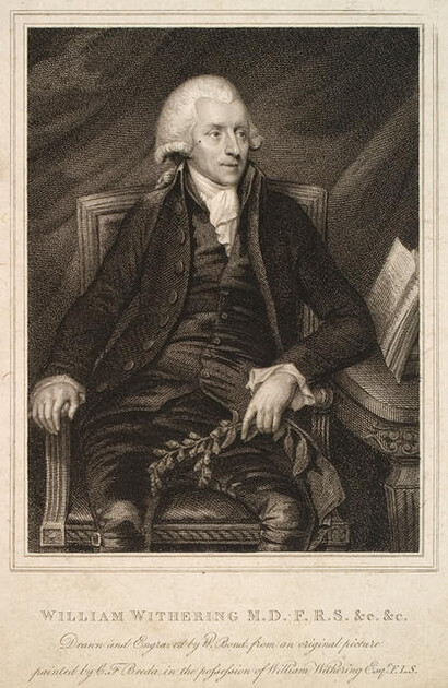 William Withering M.D. F.R.S. &c &c | Christchurch Art Gallery Te Puna ...